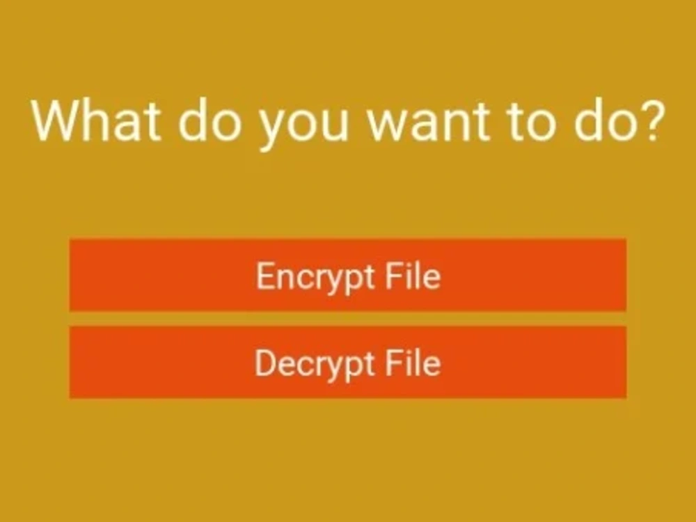 A responsive web app that encrypts and decrypt files | Upwork