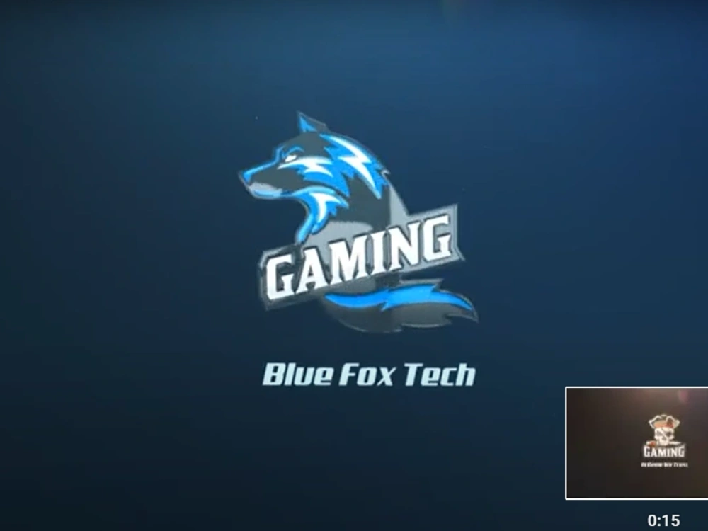 Professional logo animation intro | Upwork