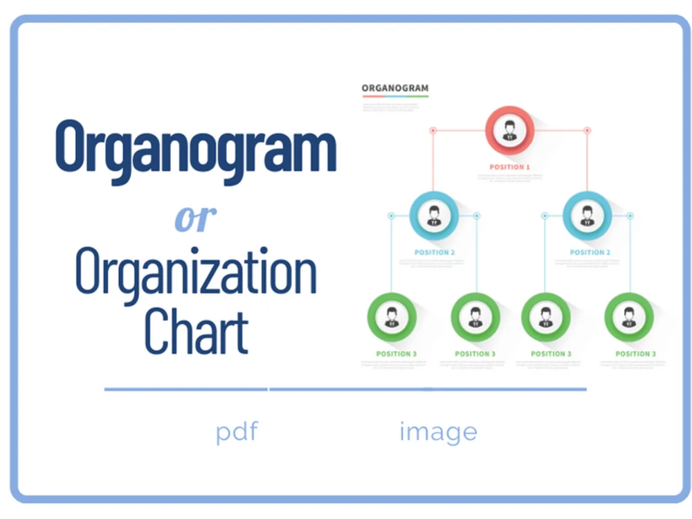 Detailed Organogram (Organizational Chart) with company reporting ...