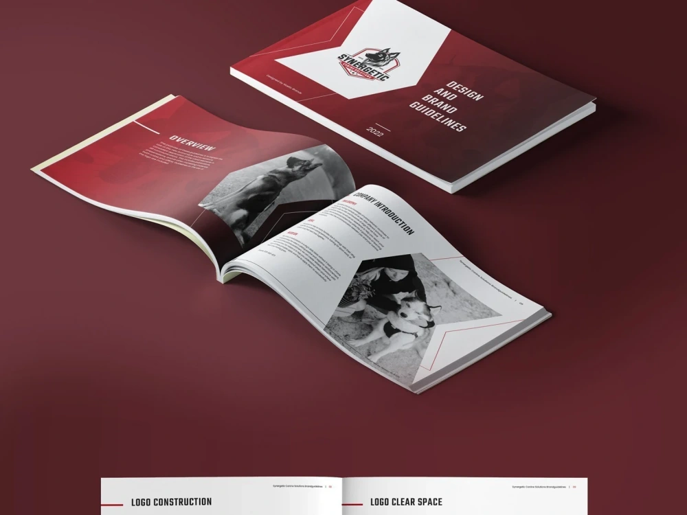 A creative, modern Brand Guideline design that will recognize your ...