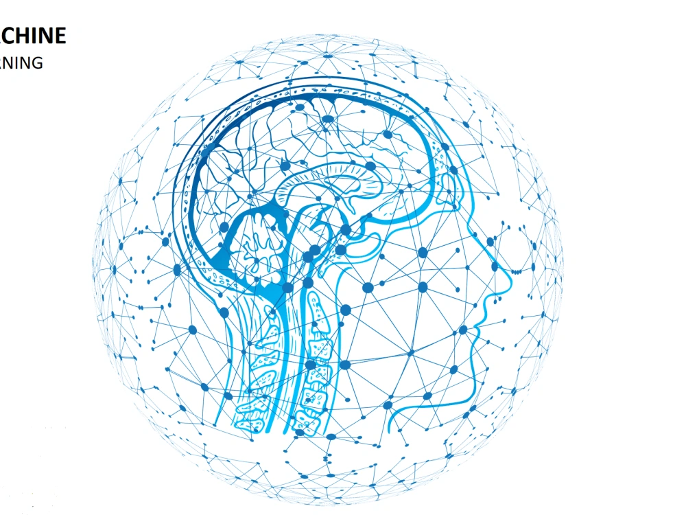 A Machine Learning Model (Python or R) | Upwork