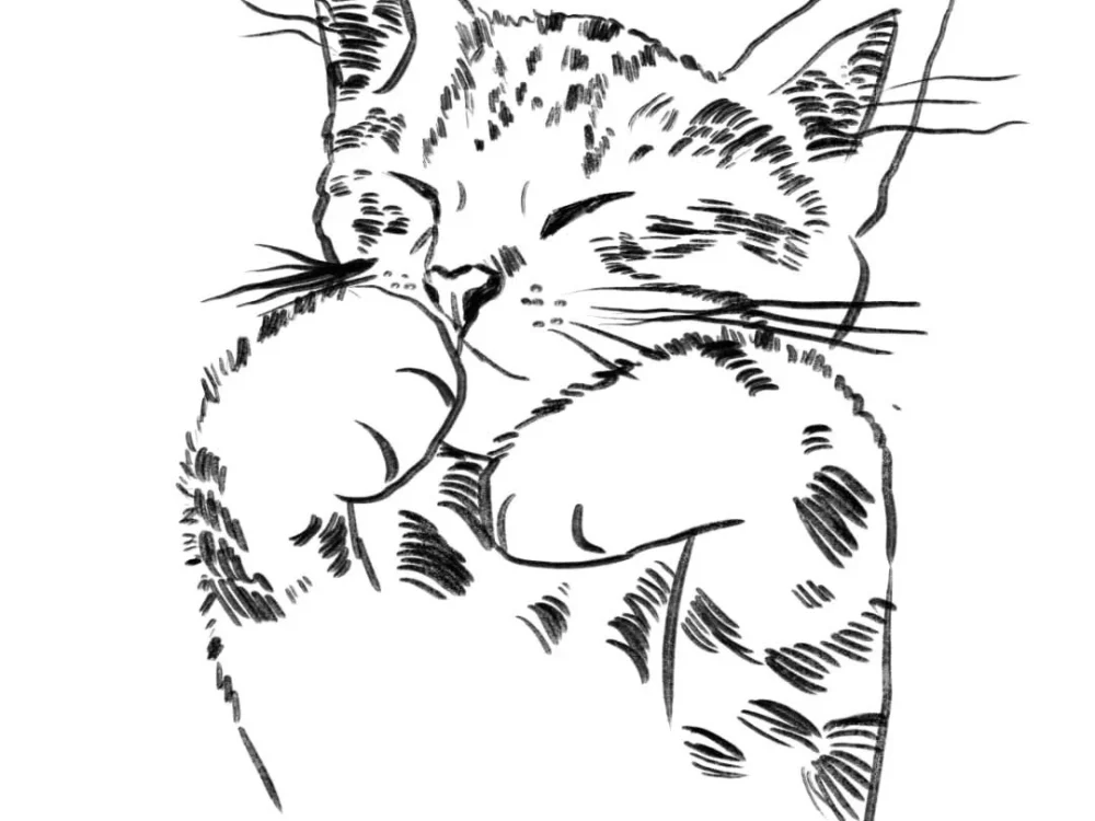 Digital drawing of pets | Upwork