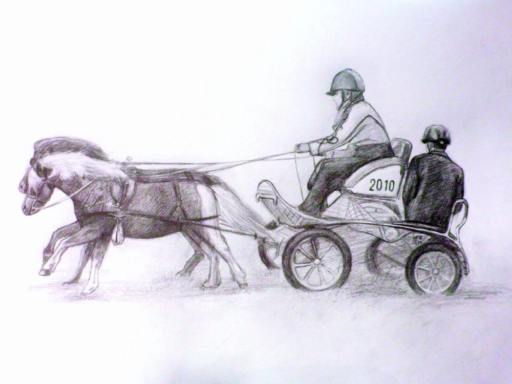 A traditional free hand drawn/painted illustration | Upwork