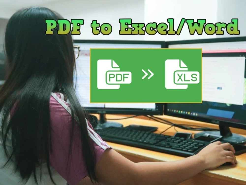 Scanned PDF converted to Excel and Word | Upwork
