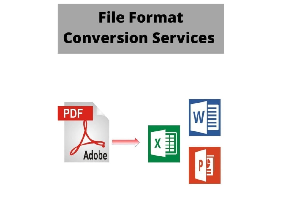 Fast data entry , pdf to word , ms excel , virtual assistant | Upwork