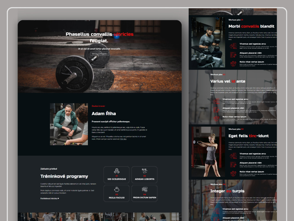 A Fully Launched Functional Website - WHOLE WEBSITE builder PACKAGE ...