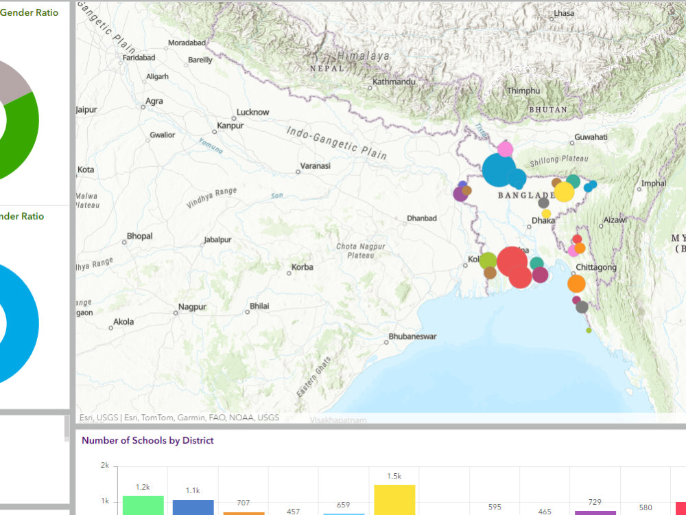 A Interactive Dashboard using ArcGIS online | Upwork