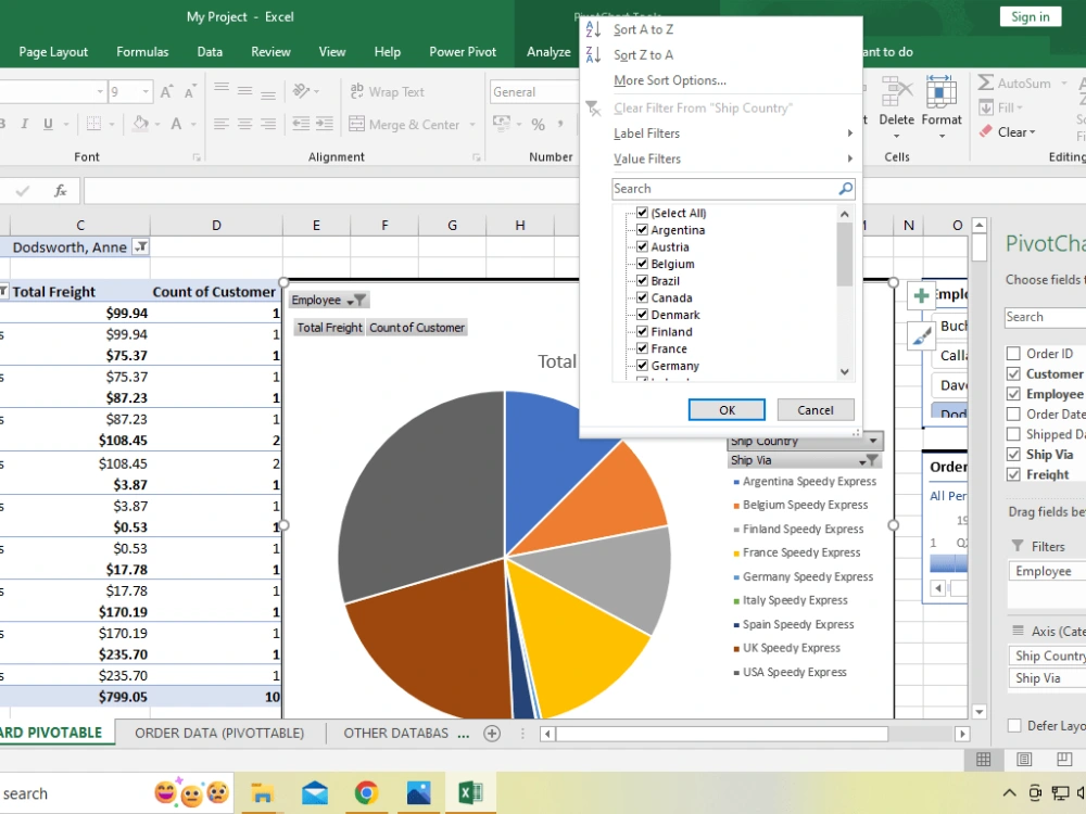 Excel pivot table with chart | Upwork