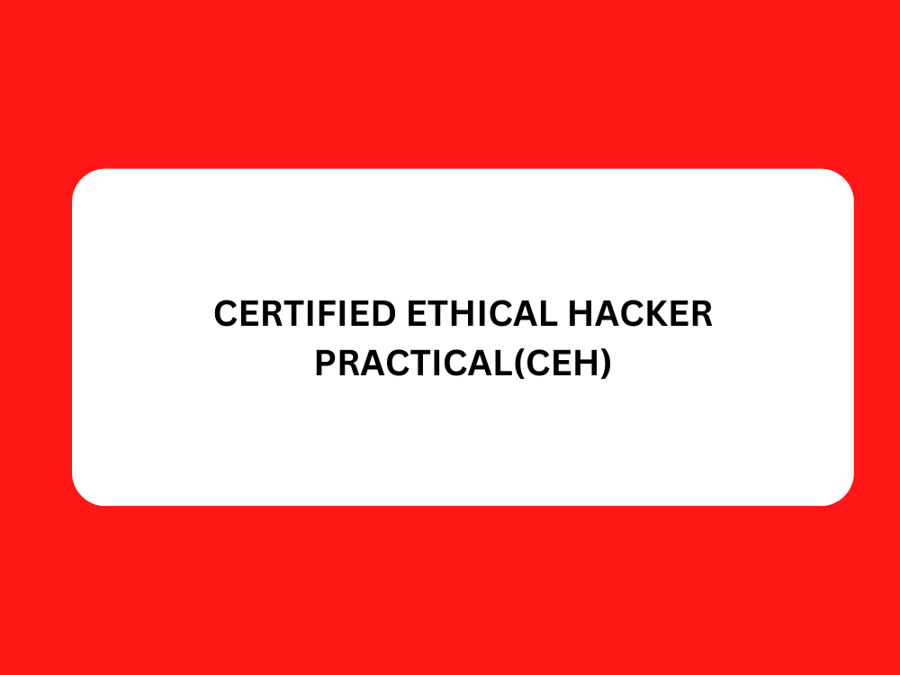 A Professional Network Pen Test And Web Apps Vulnerability Assessment