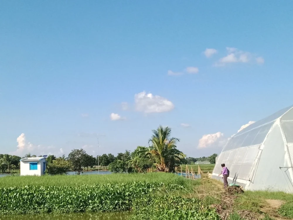 Project Proposal on Sustainable Livelihood Development. | Upwork