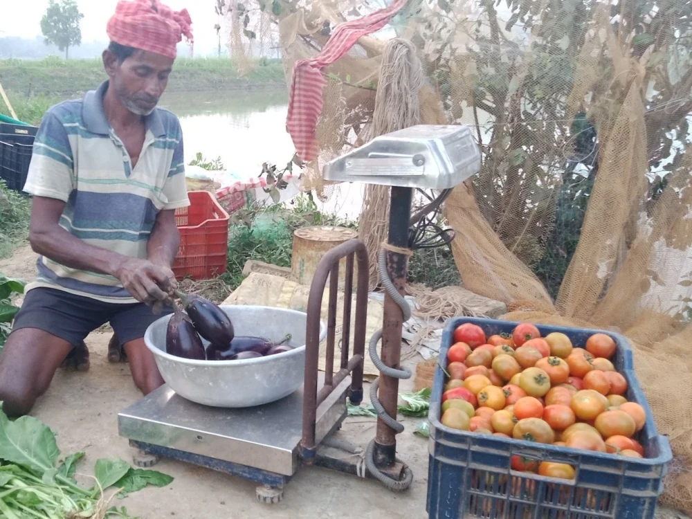 Project Proposal on Sustainable Livelihood Development. | Upwork