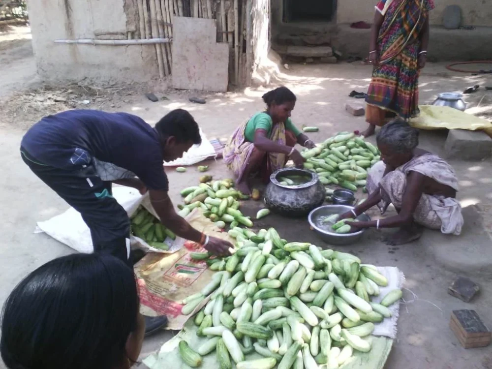 Project Proposal on Sustainable Livelihood Development. | Upwork