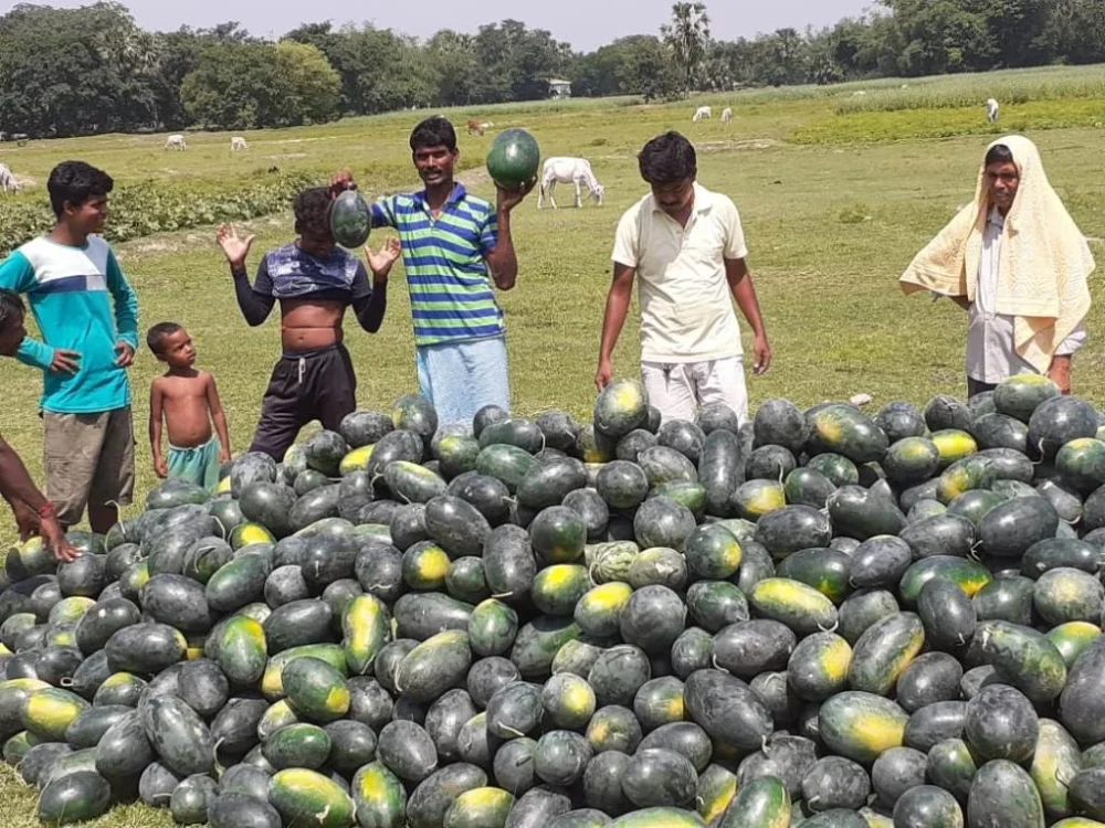 Project Proposal on Sustainable Livelihood Development. | Upwork