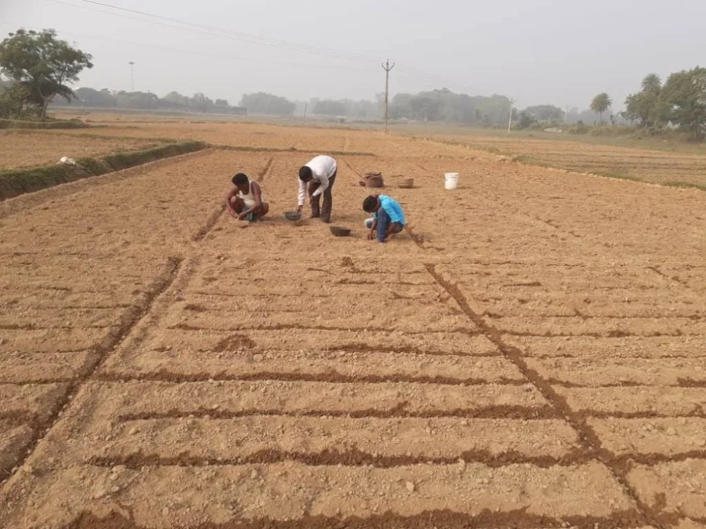 Project Proposal on Sustainable Livelihood Development. | Upwork