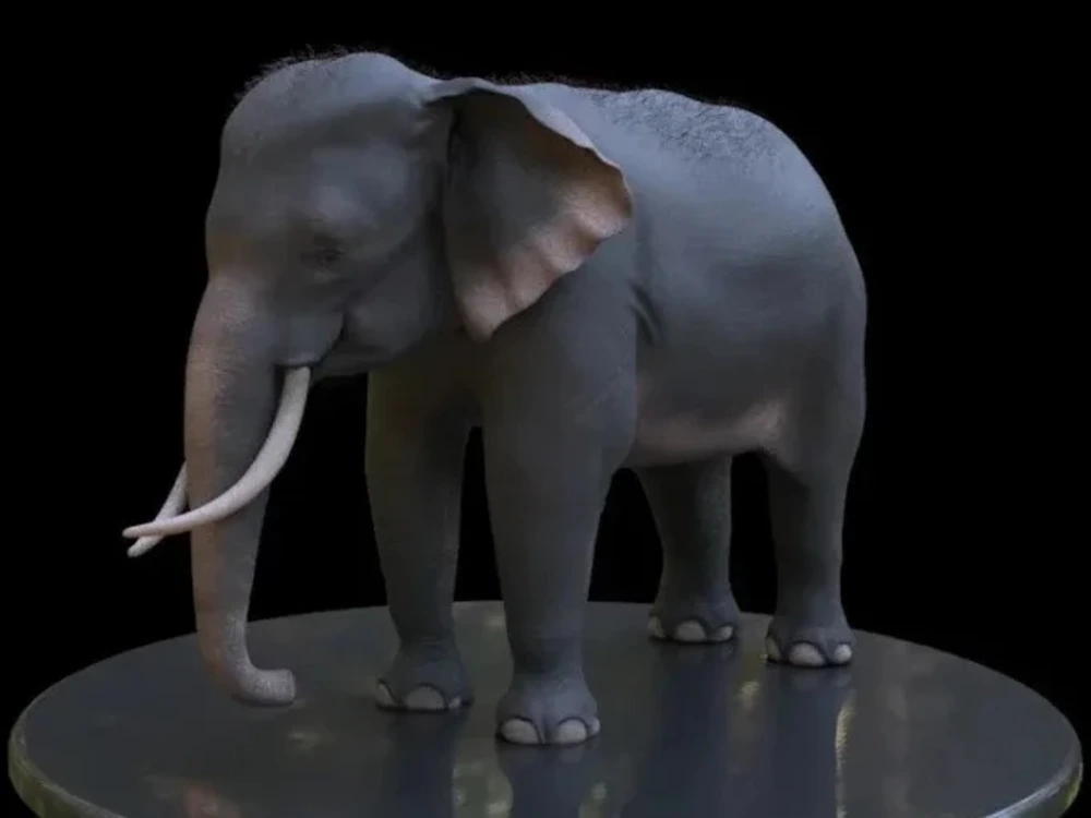 A realistic 3d animal animation, 3d animal character design | Upwork