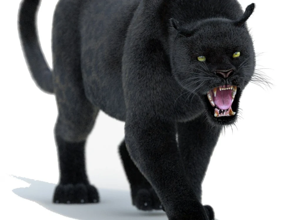 A realistic 3d animal animation, 3d animal character design | Upwork