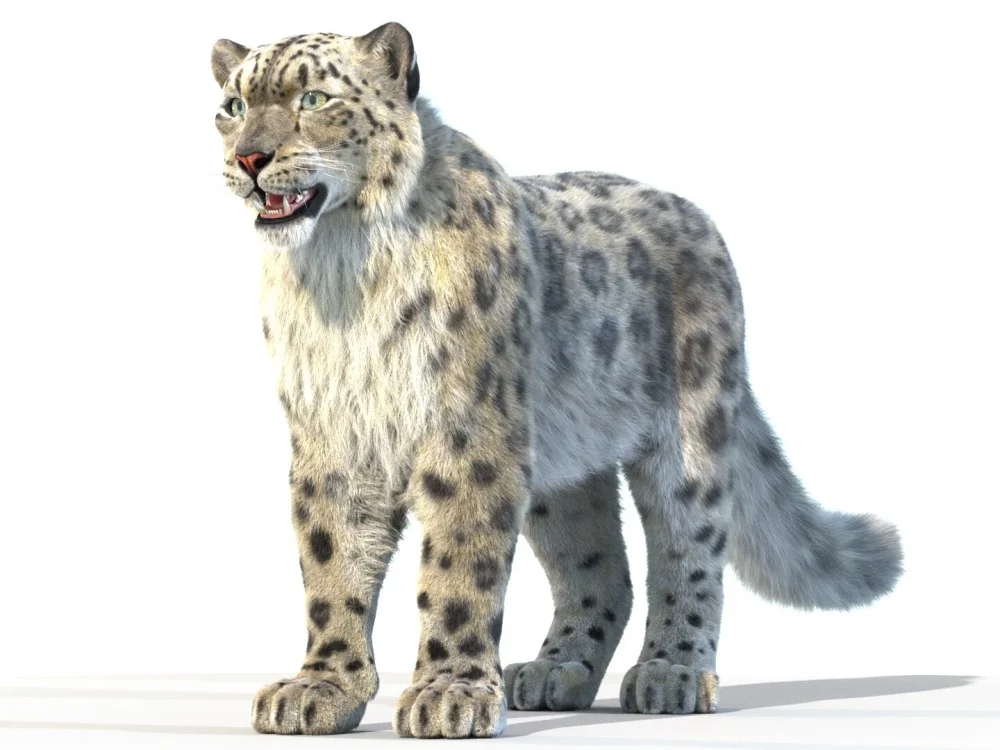 A realistic 3d animal animation, 3d animal character design | Upwork