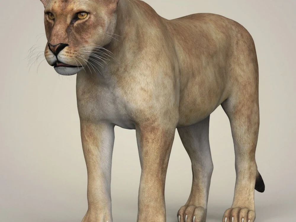 A realistic 3d animal animation, 3d animal character design | Upwork