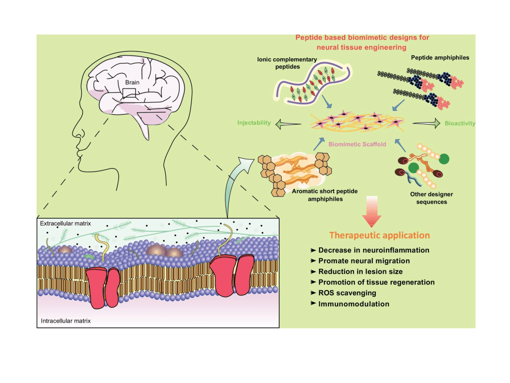 Scientific illustrations, infographics, figures and graphical abstract ...