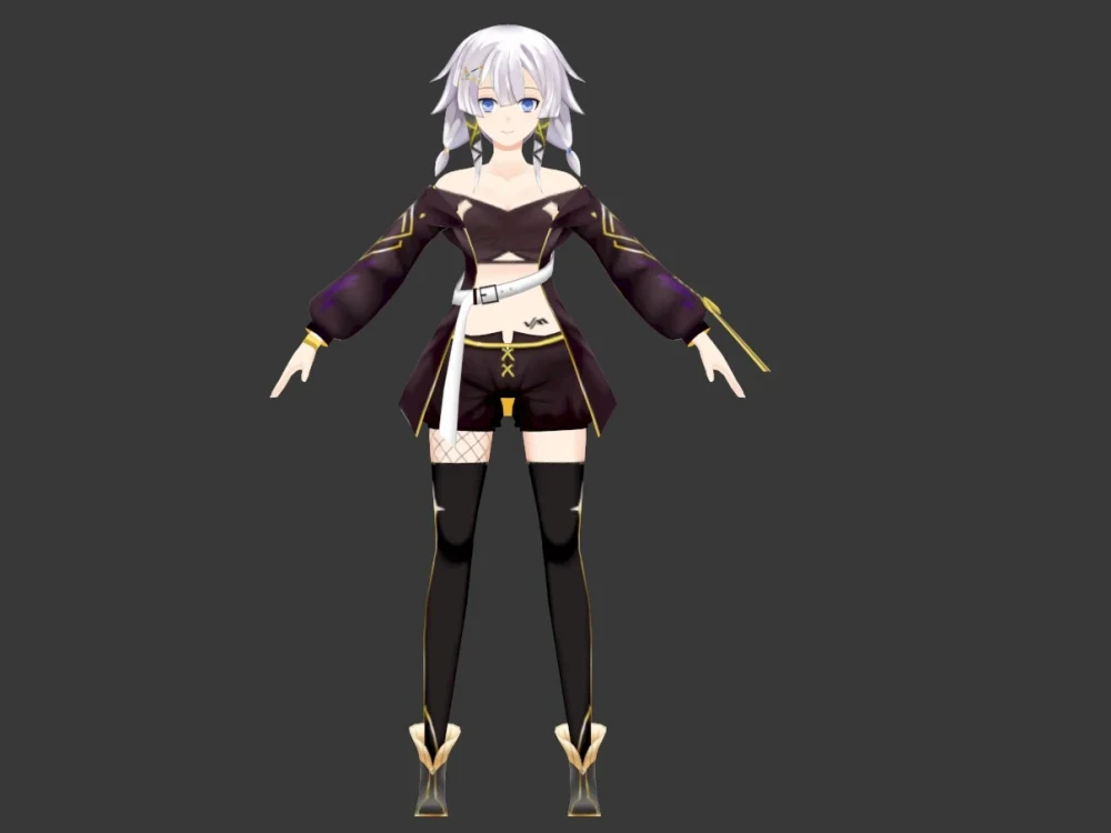 2D VTuber Model, Live2D, VTuber Animation | Upwork