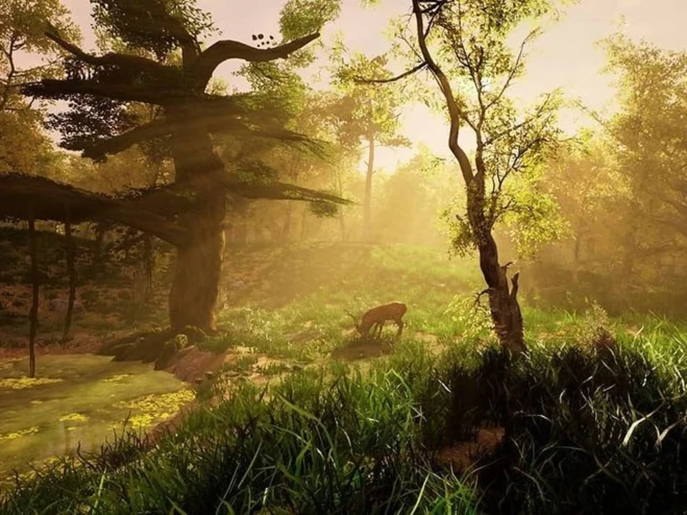 An Unreal Engine Environment Made for Your Project | Upwork