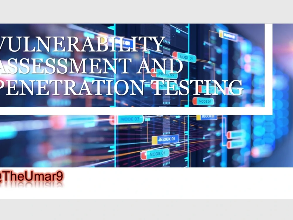 A detailed VAPT Report including all Issues and the 'How to Fix ...