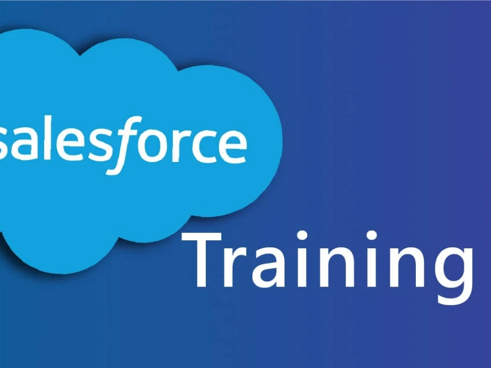 Salesforce initial Setup and training | Upwork