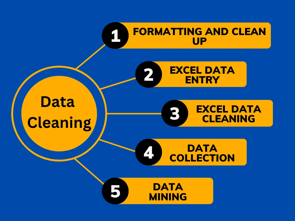 Excel data entry, cleaning and formatting service | VA | Upwork