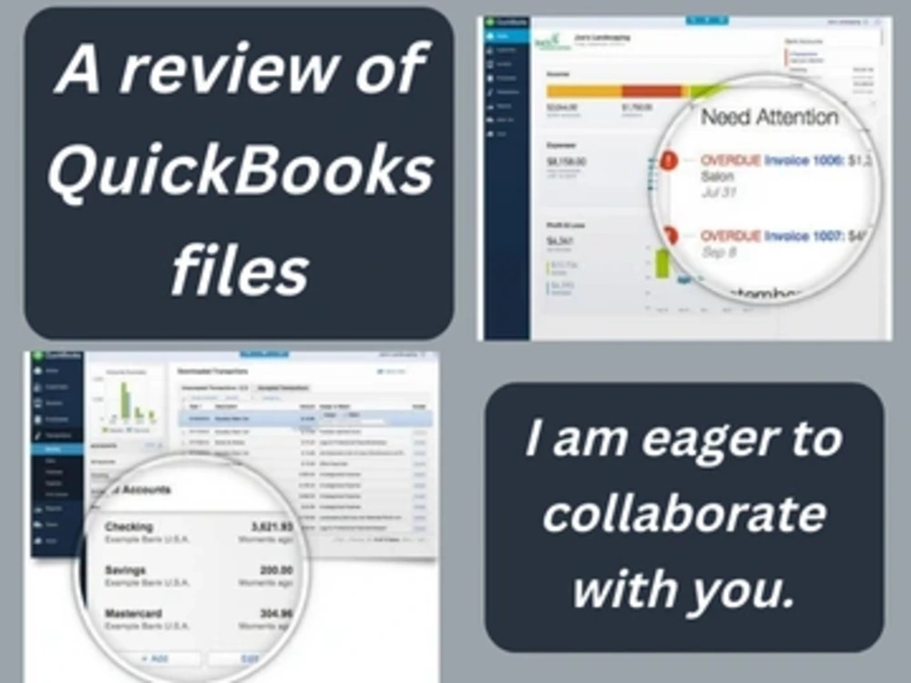 A review and consultation on your QuickBooks file. | Upwork