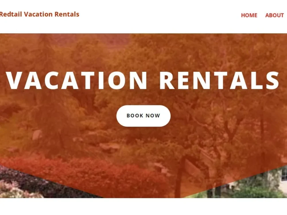Wordpress Theme Avada Divi Astra Customization Upwork