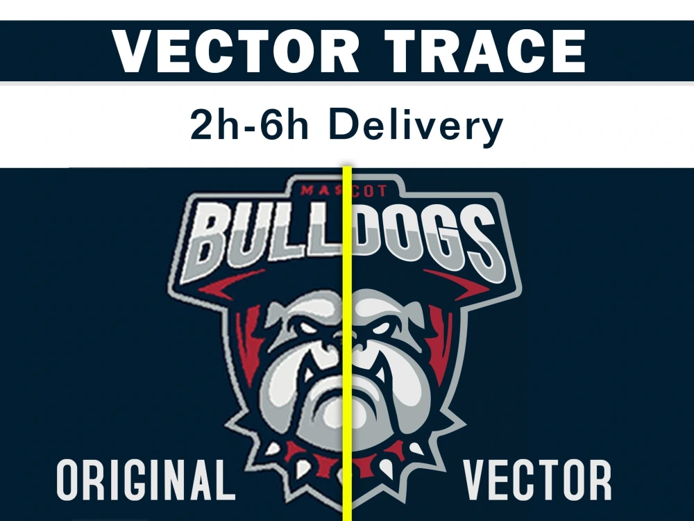 Perfectly trace logo to vector and vector tracing | Upwork