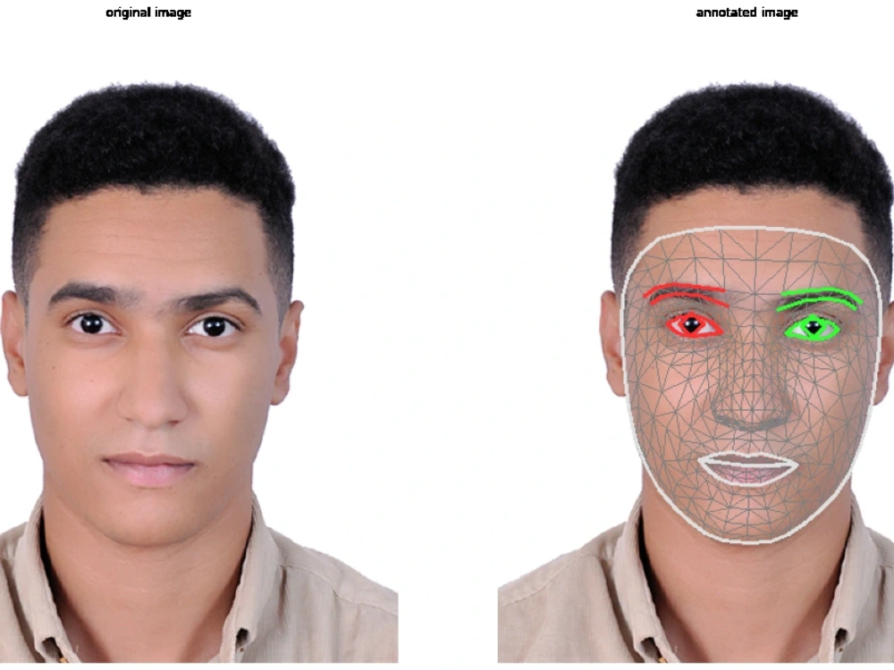 Advanced computer vision project with custom dataset | Upwork