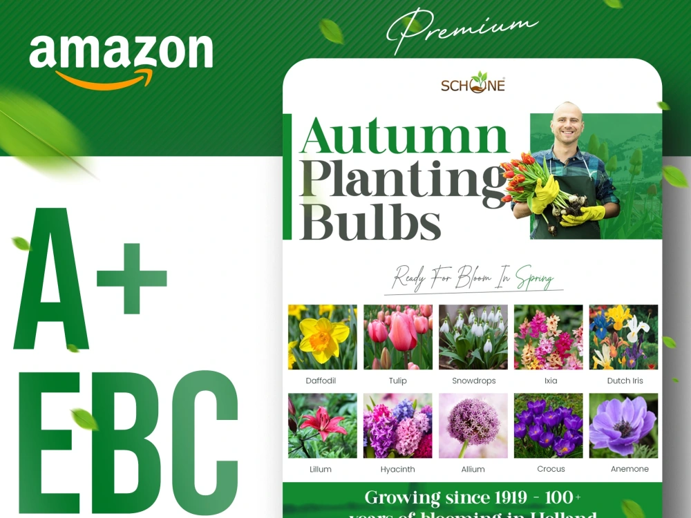 Amazon EBC A plus content design | Upwork