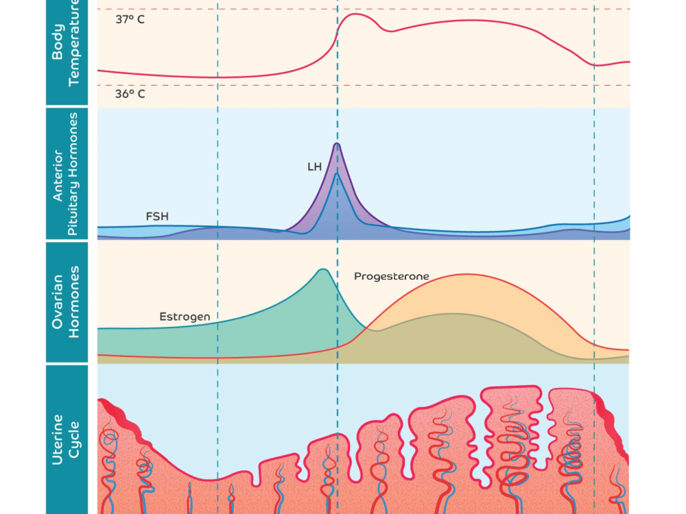 Impressive scientific charts, infographics, and figures for publication ...
