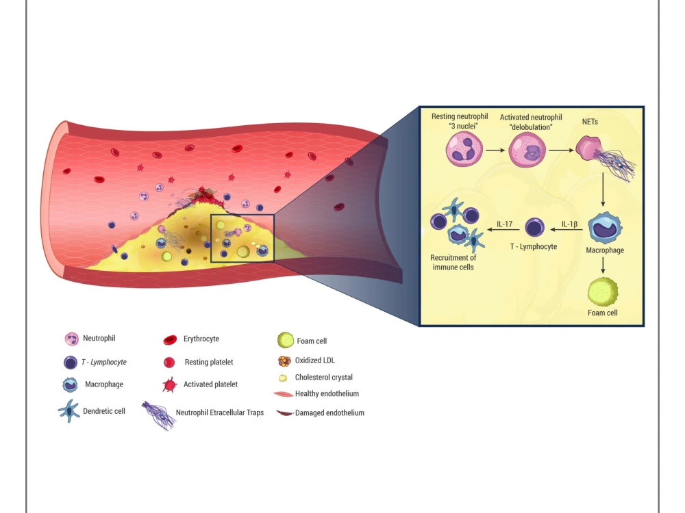 Impressive scientific charts, infographics, and figures for publication ...
