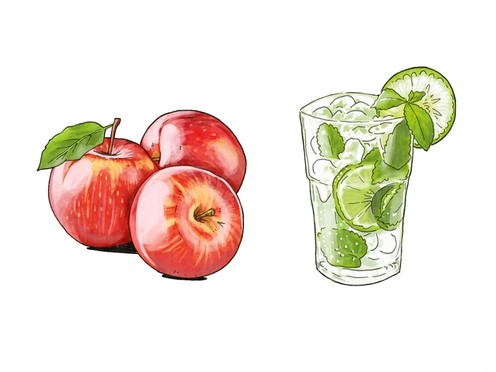 A unique and detailed product illustration | Upwork