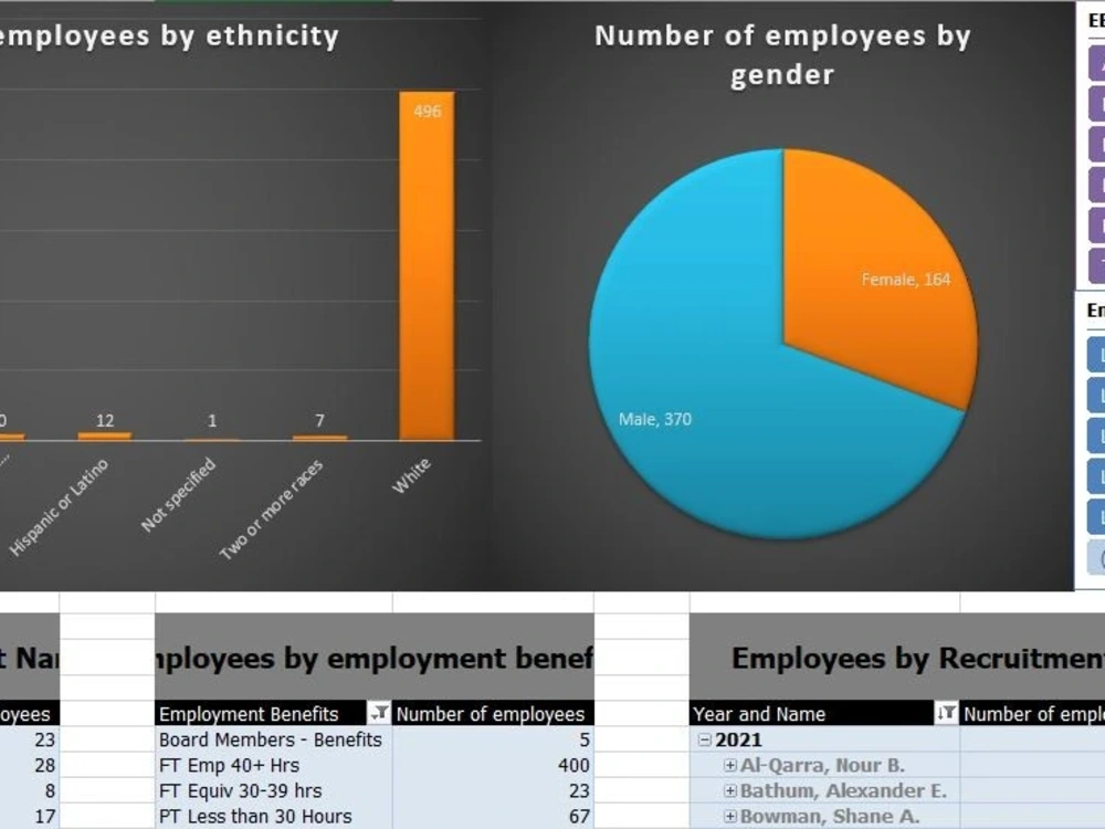 An attractive and informative excel dashboard from your data | Upwork