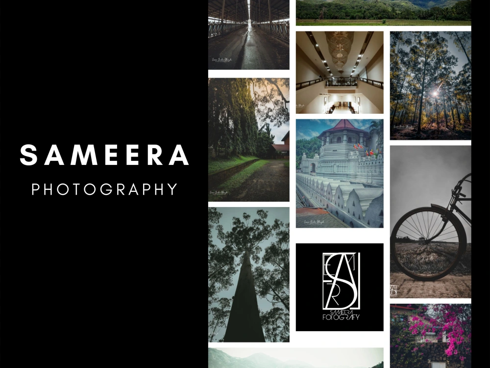 A fantastic photo collages | Upwork