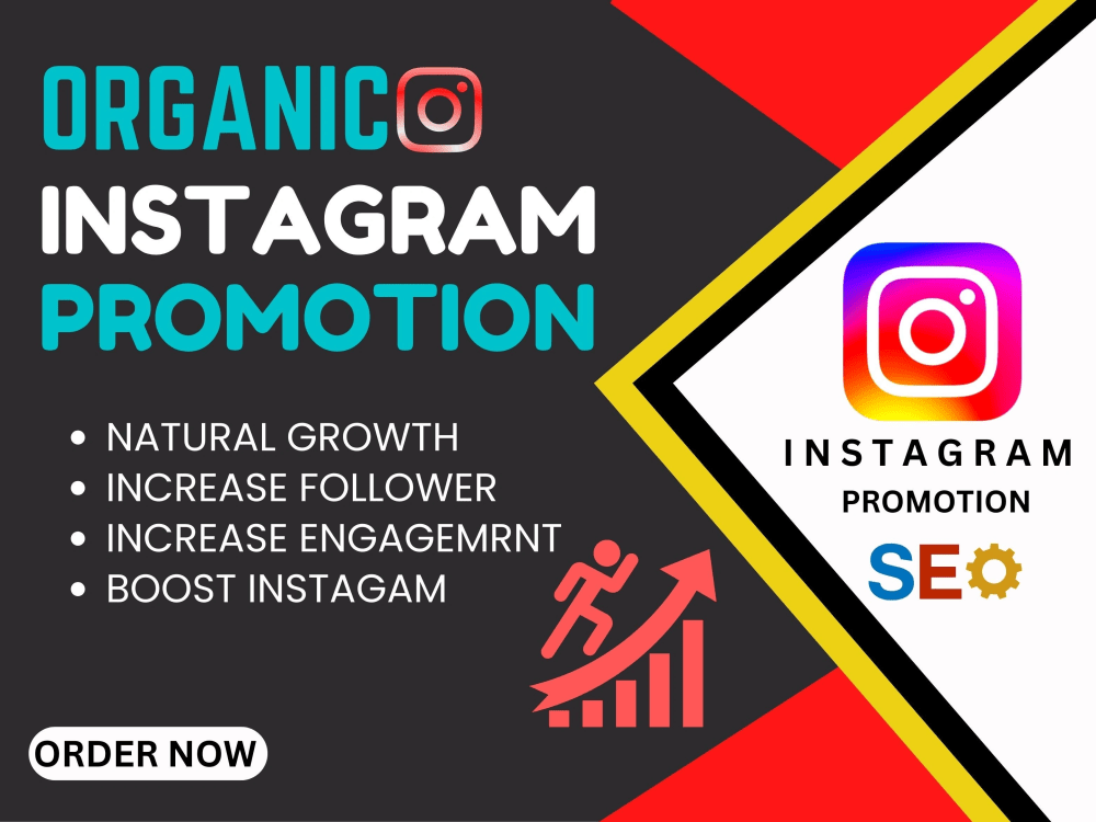 Organic Instagram Promotion Engagement Promotion Growth Instagram ...