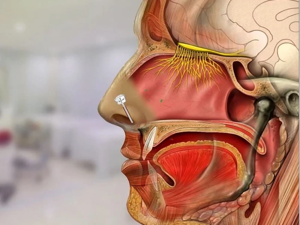 2d animated asmr video and stop motion animation, medical animation ...