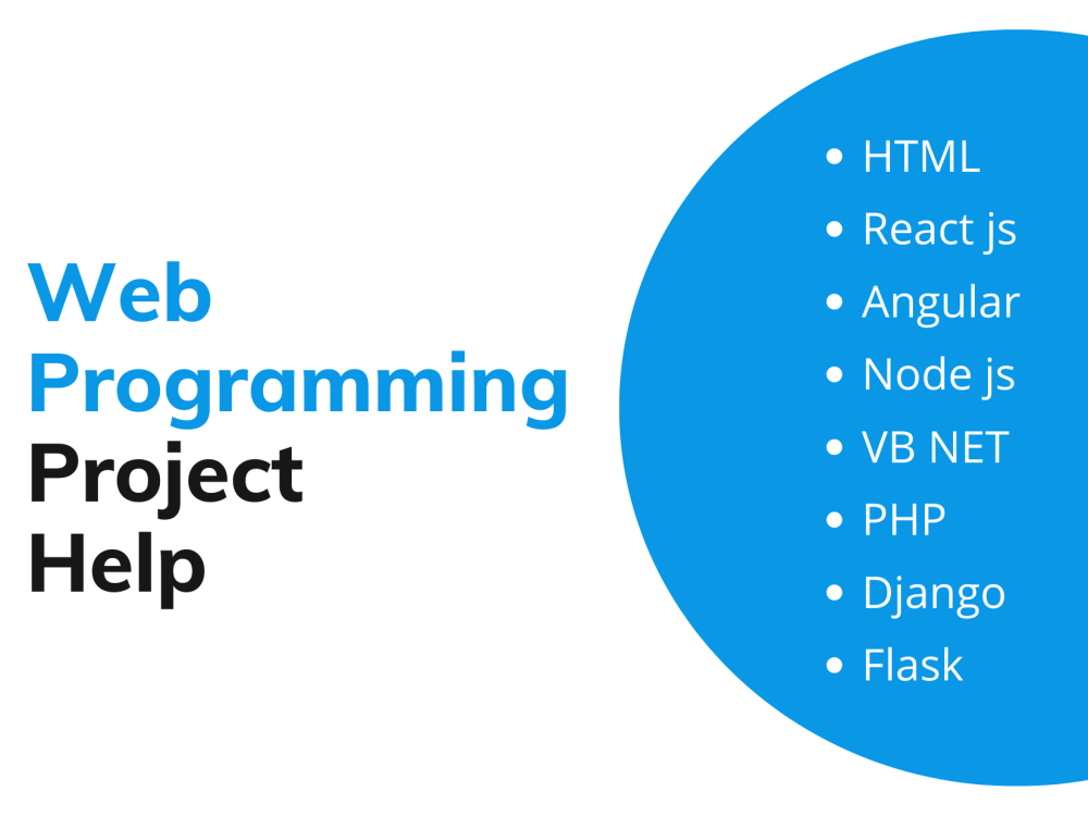 Web Programming Services Web Application Programming Web Developer Upwork
