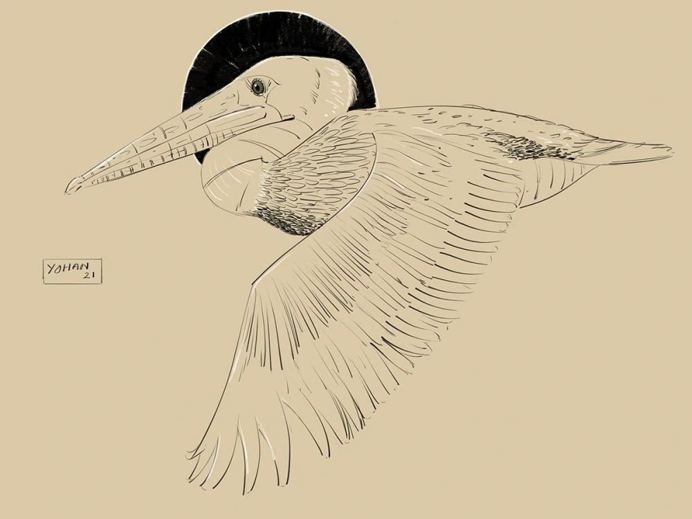 Beautiful high quality digital drawings | Upwork