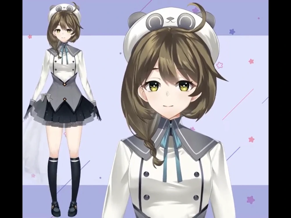 A professional 2d vtuber model, vtuber character design, live2d rigging ...