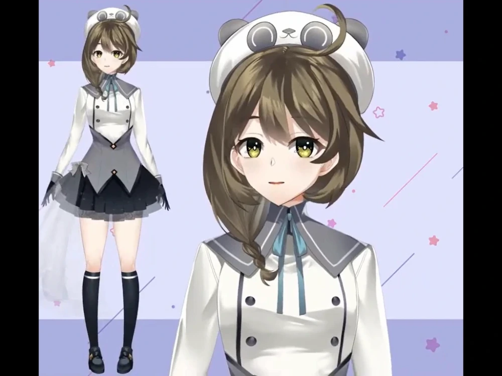 A professional 2d vtuber model, vtuber character design, live2d rigging ...