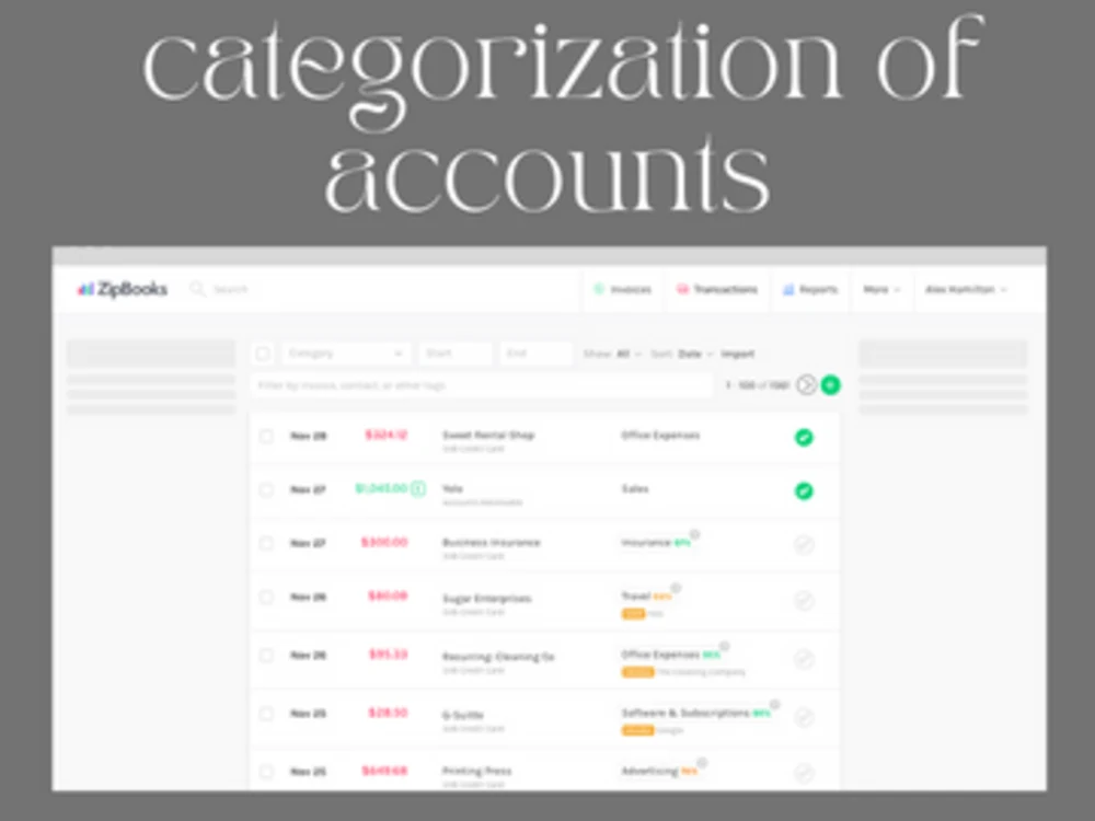 An authority accountant on software account categorization | Upwork