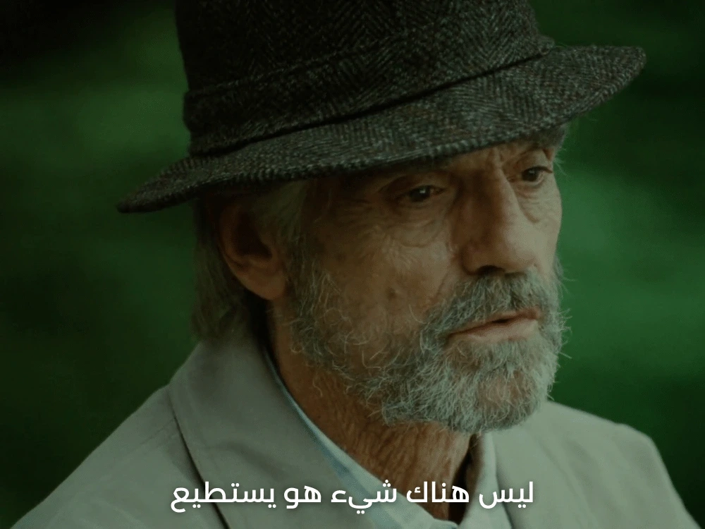 Accurate Arabic subtitles on videos with SRT file. | Upwork