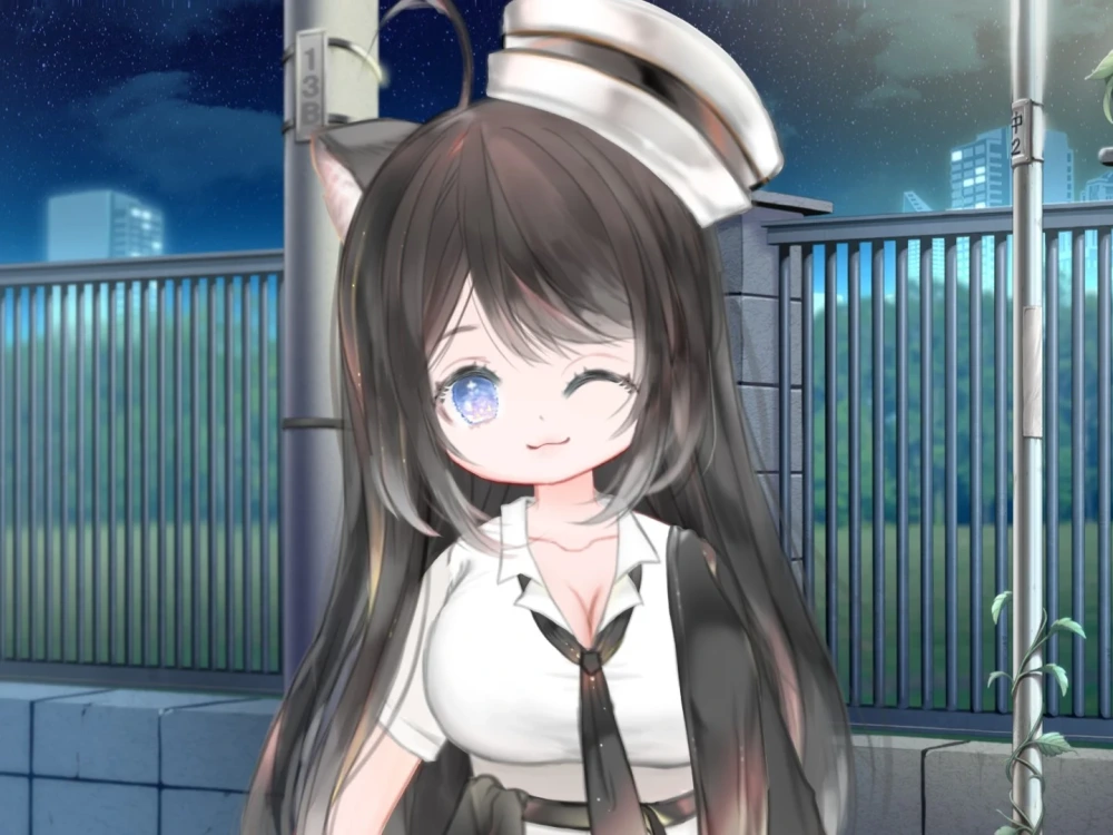 Live 2d model rigging for Vtuber rig only. | Upwork