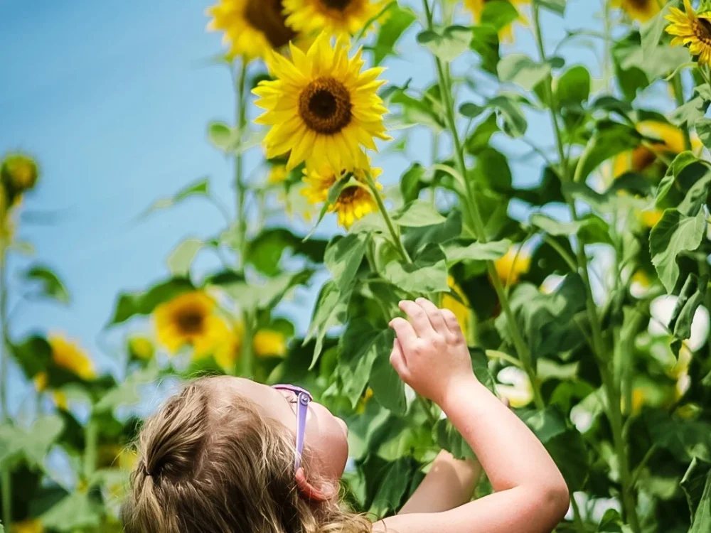 Beautifully superior portrait edits. | Upwork