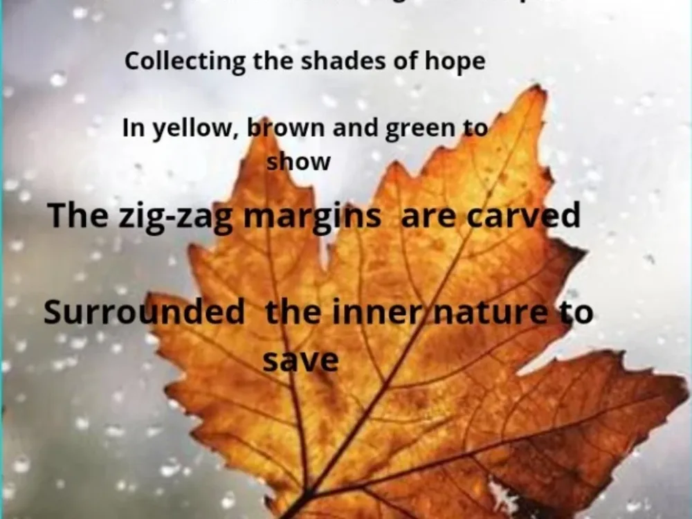 Poems and poetry on any topic | Upwork