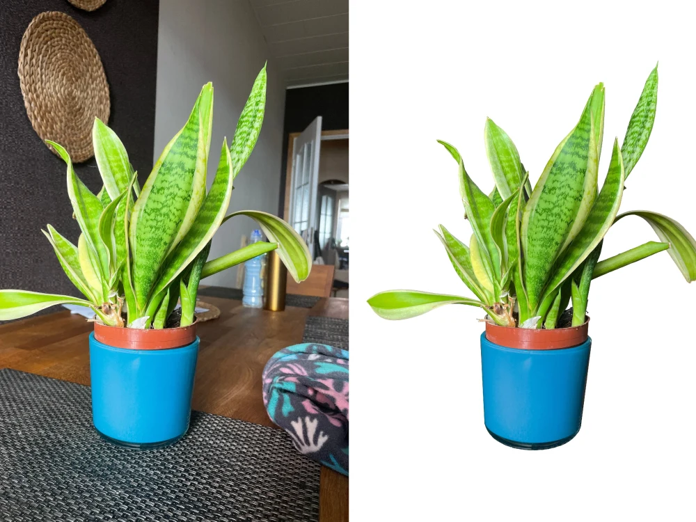 High-quality detailed background removal from images | Upwork